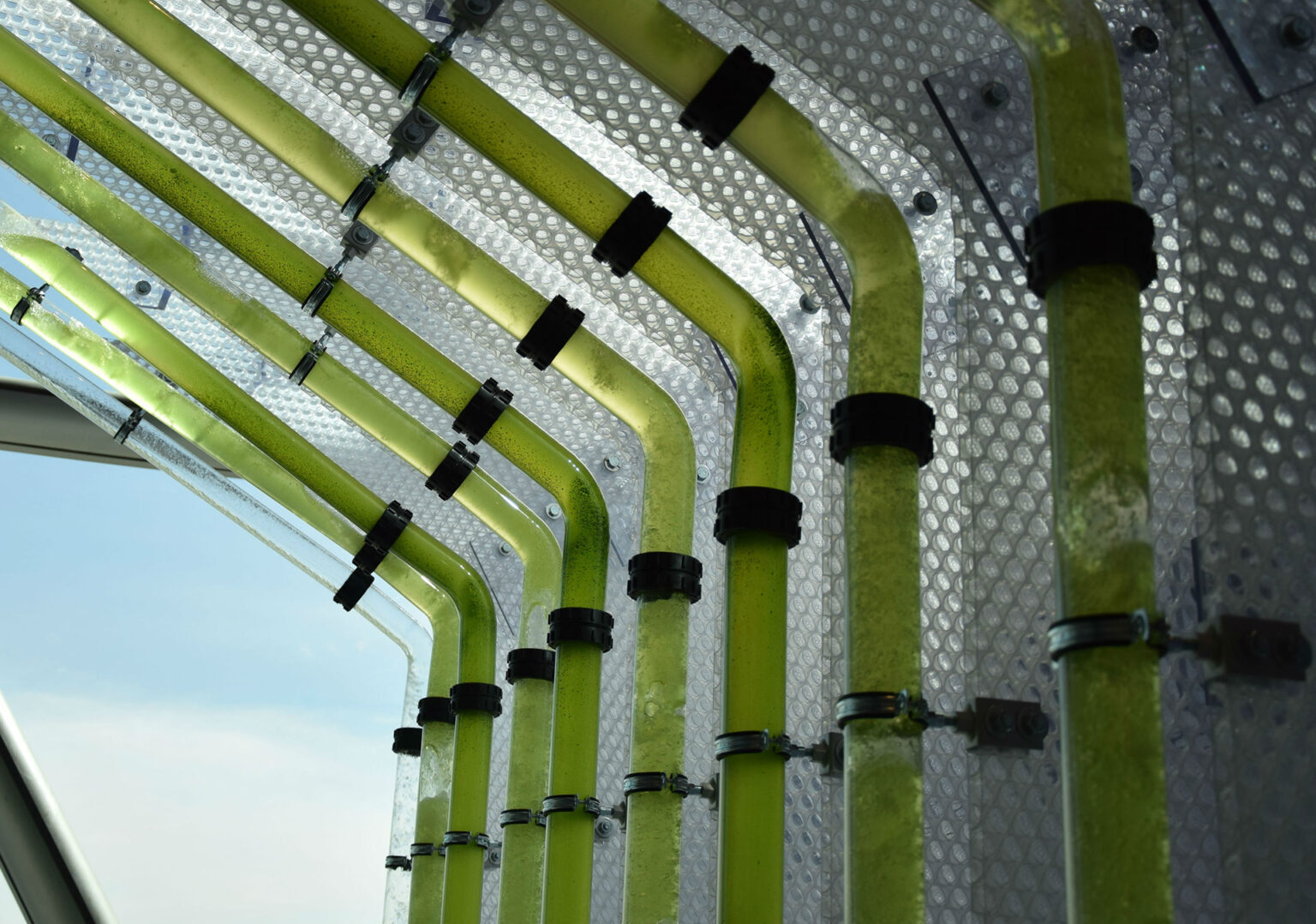 Premium translucent polycarbonate panels used in architecture - Moxie ...